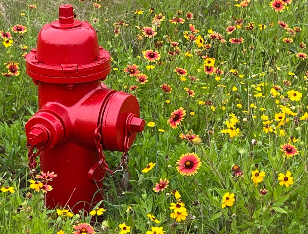 Fiery field – E. A. Fussell